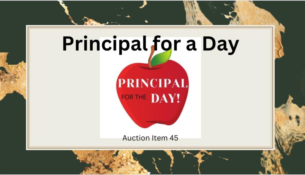 Silent Auction Pro - Online Bid Items - Grid View