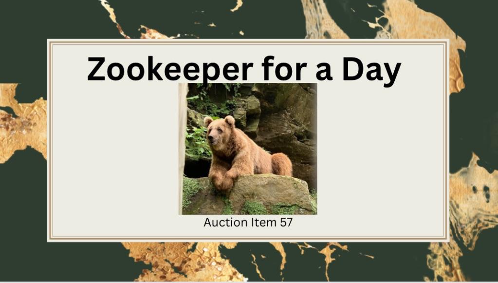 Silent Auction Pro - Online Bid Items - Grid View